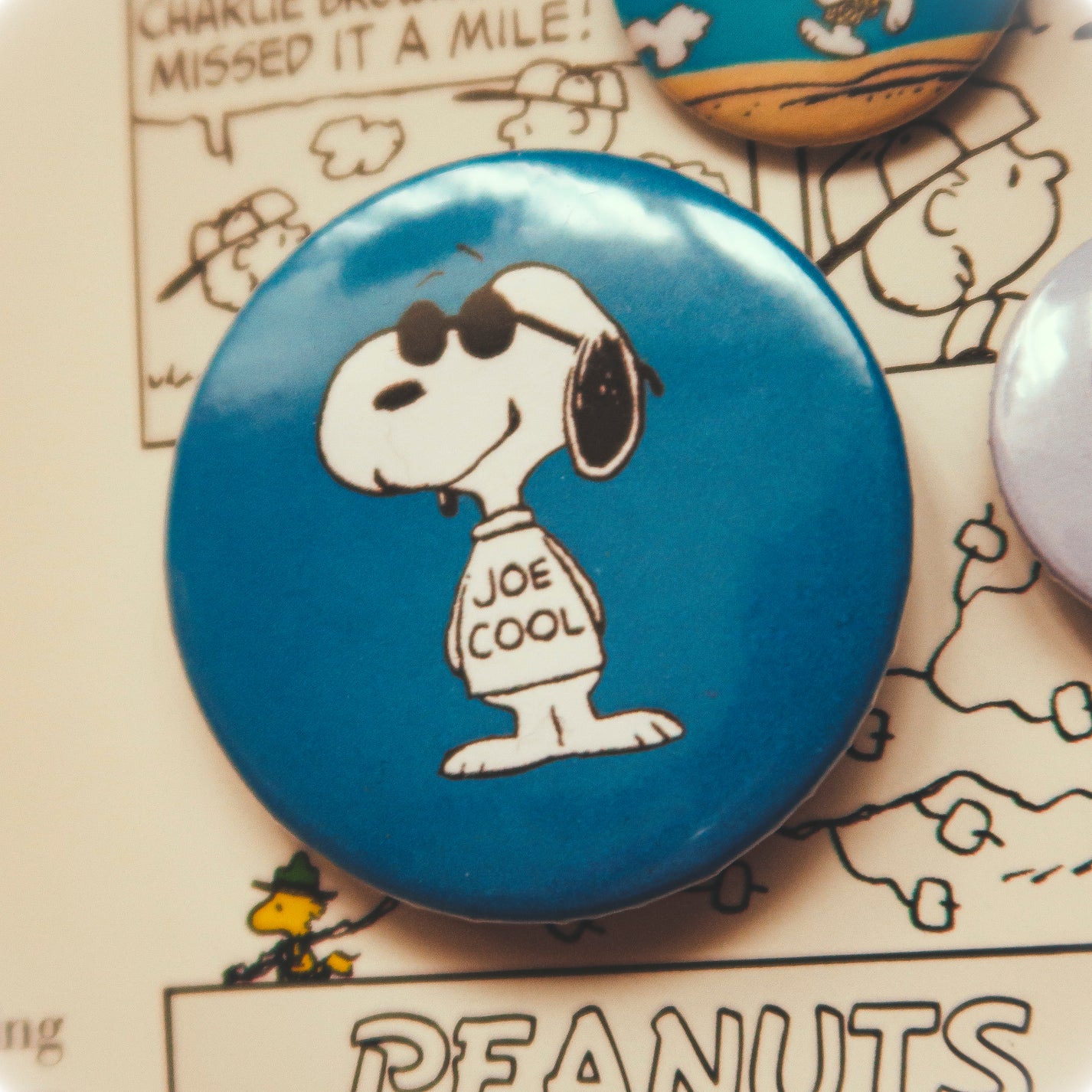 Snoopy/ Peanuts Comics Vintage Style Button Pin Badges – Ice Cream Cake
