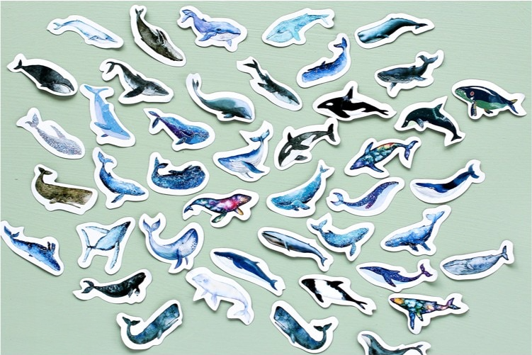 Whale Sticker Set (45 Stickers) – Ice Cream Cake